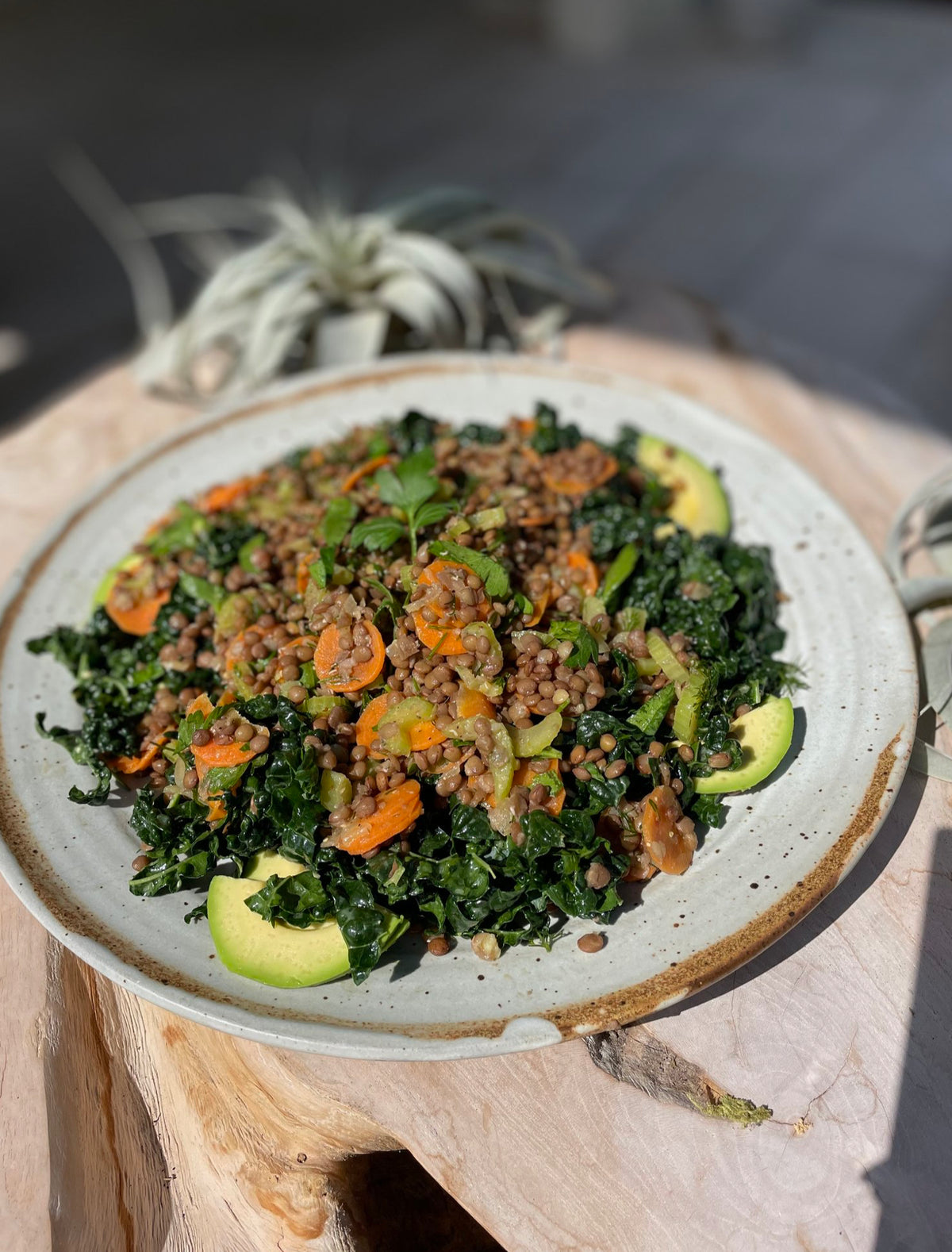 Lentil Salad — Living with Ivey
