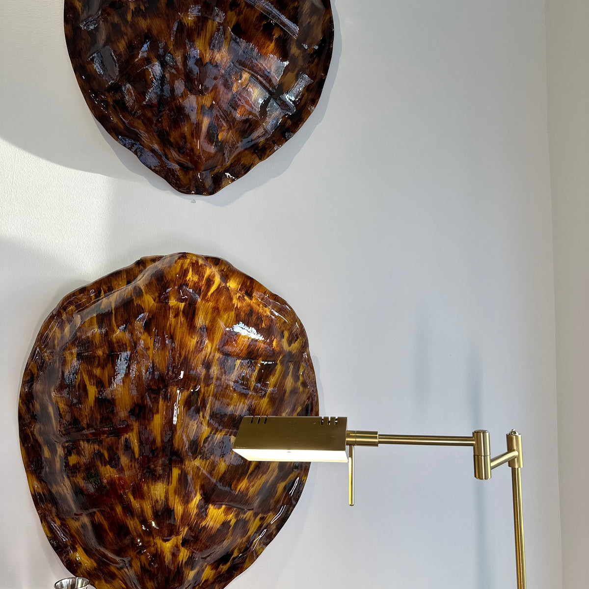 Large Tortoise Shell — Living with Ivey