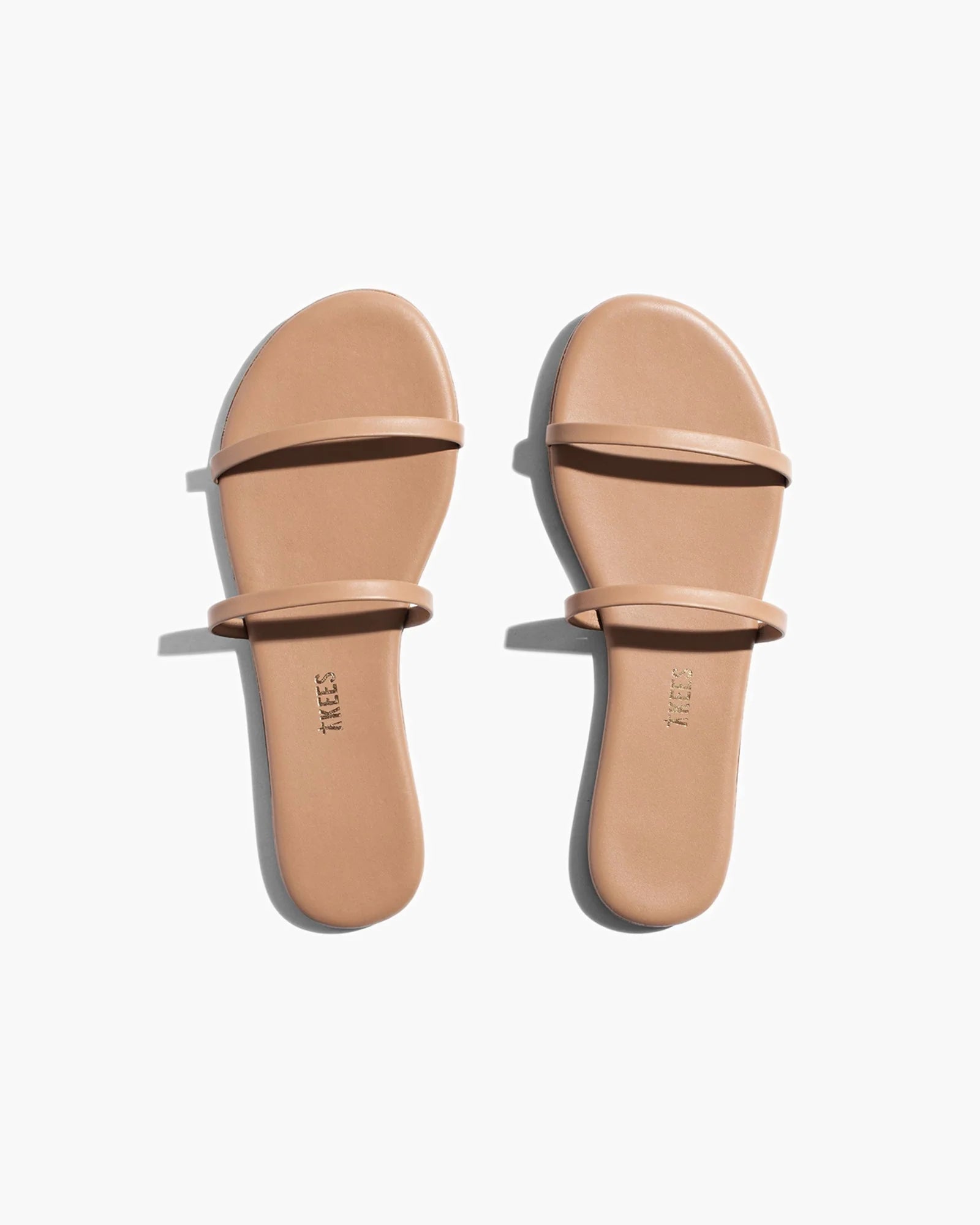 Tkees | Gemma – Living with Ivey
